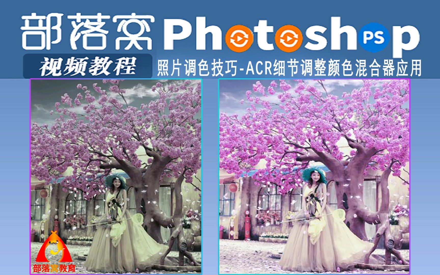 ps照片调色技巧视频:ACR细节调整颜色混合器应用