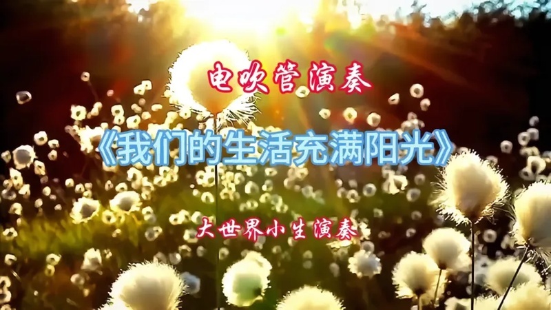 电吹管演奏 《我们的生活充满阳光》好听就行。 爱音乐爱生活
