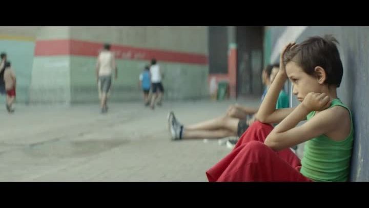 爱与责任,拍给大人们看的教育片