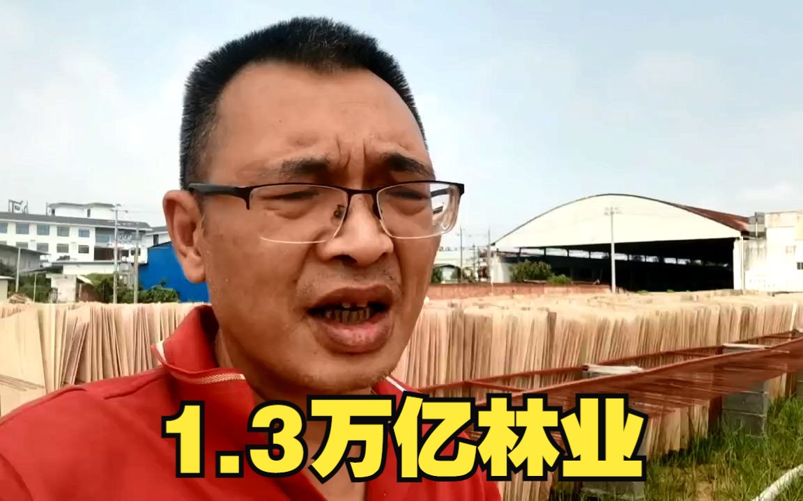 广西于2023-2025年打造1.3万亿林业产业,木材业小春天将会来临