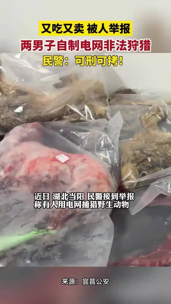 2男子自制电网非法狩猎野生动物,又吃又卖被人举报,民警:刑拘