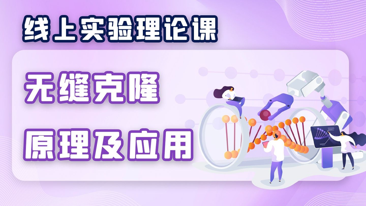 实验理论|无缝克隆技术(上):实验原理及应用