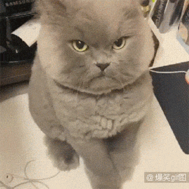 Tom明 
