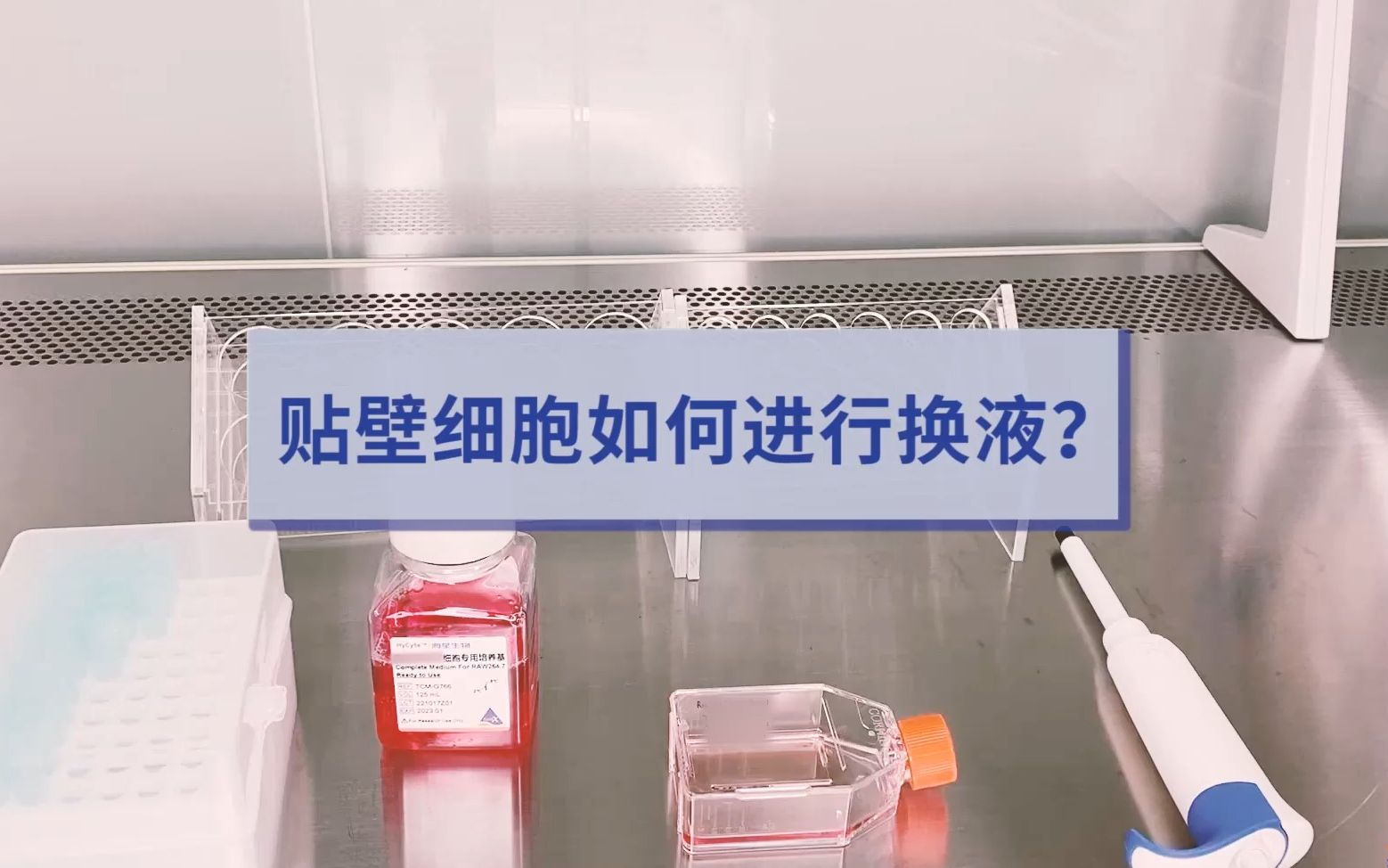 贴壁细胞换液操作方法