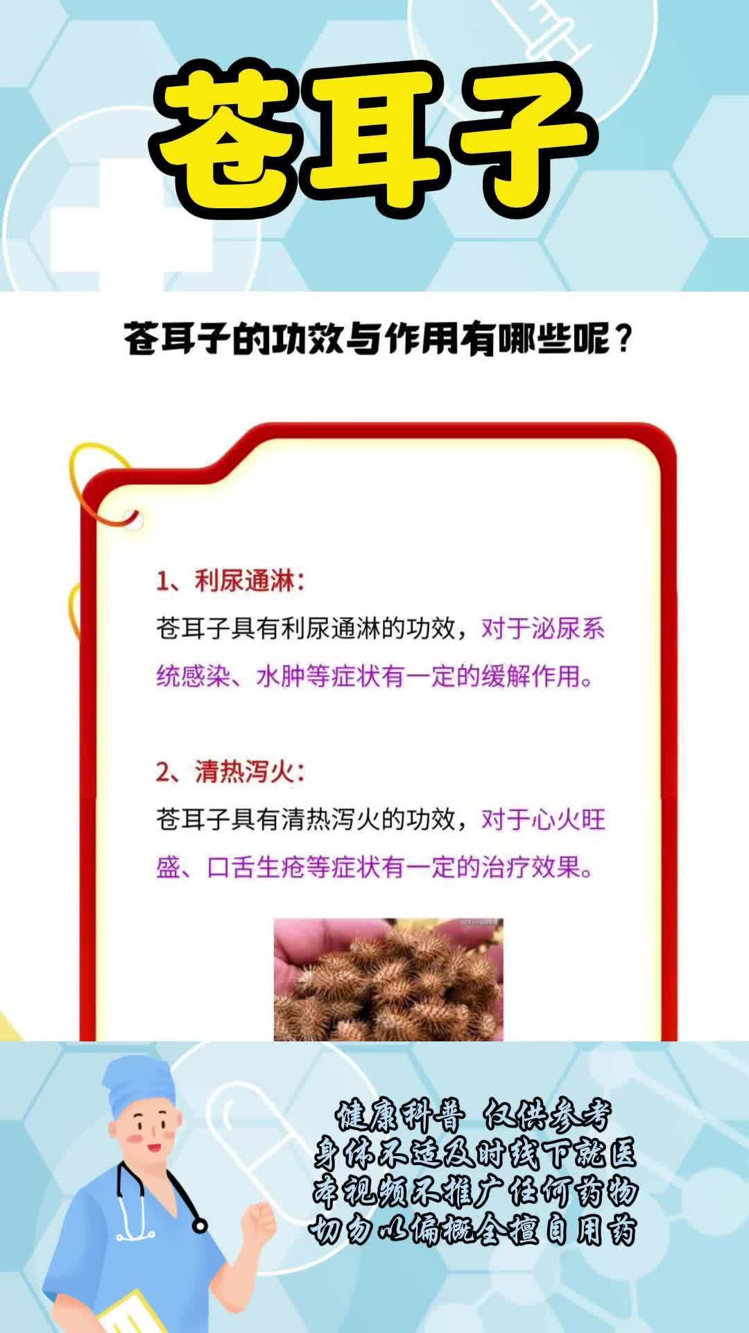 苍耳子的神奇功效与作用,你了解吗?