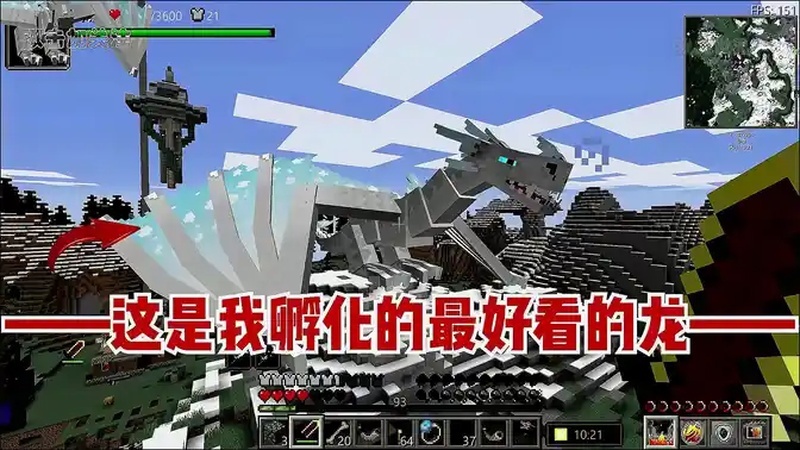 我的世界龙之生存18:这是我孵化出来最好看的龙