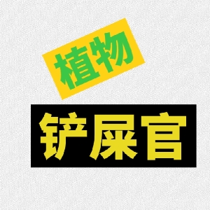 bili_671393164 