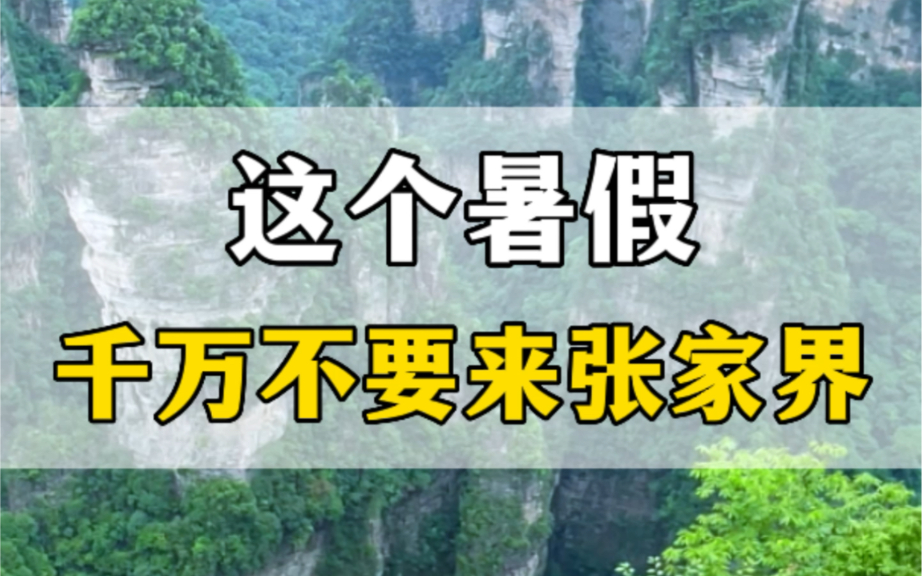 这个暑假千万不要来张家界,自由行太贵,做攻略太累,如果你一定要来,那...
