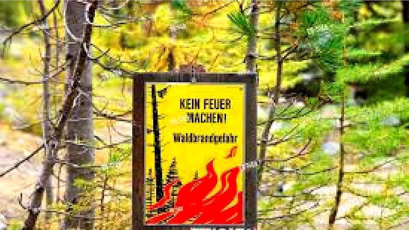 森林起火有多可怕?澳大利亚森林大火备受关注,后果太严重了!