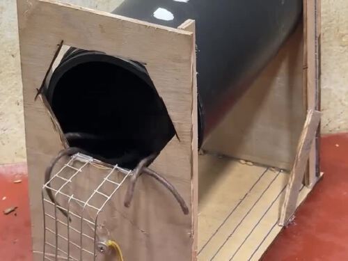 使用家里的生活用品做成的捕鼠器,老鼠好抓!.1