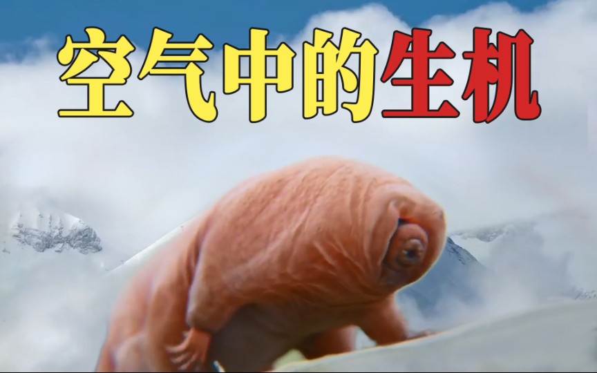 空气微生物:穿越生命禁区