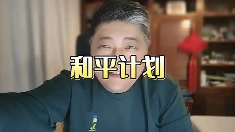 慕尼黑安全会议乌克兰和平计划