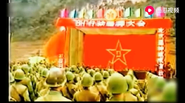 对越自卫反击战之黑豹行动