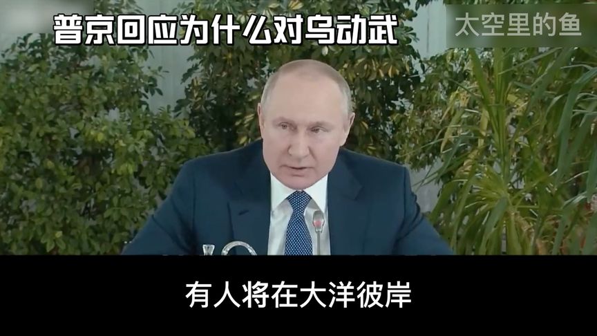 普京回应为什么对乌动武