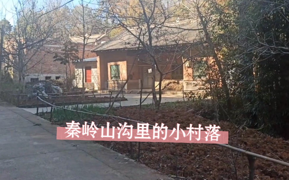 秦岭探村,小山沟里的村落,原生态的秦岭山村秘境风光