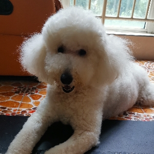 我我我对方正在输入 