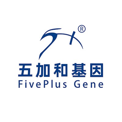 五加和基因 