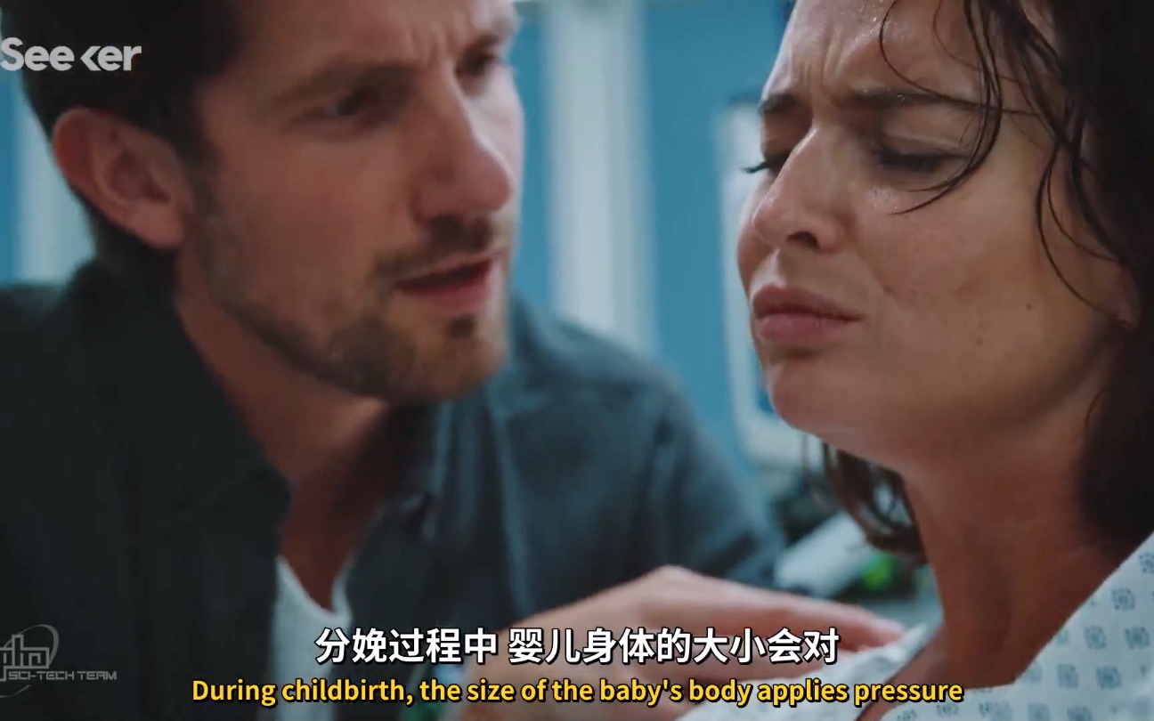 【双语】激素有什么用