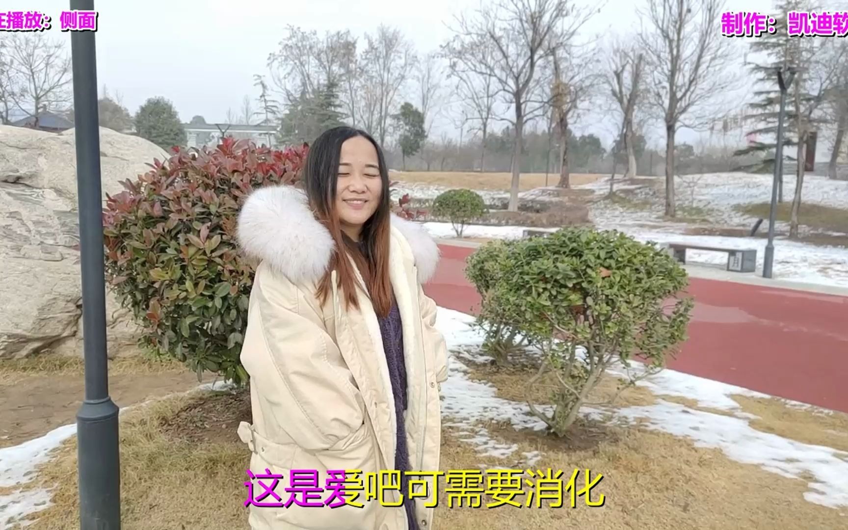 《侧面》欣赏,什么软件可以播放rmvb格式视频