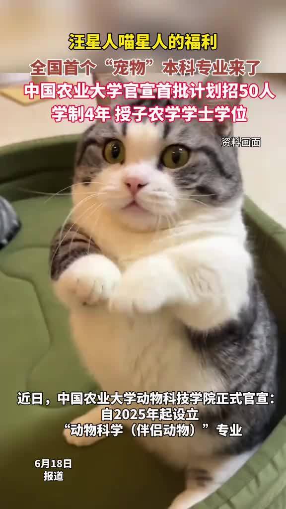 汪星喵星人的福利,全国首个"宠物"本科专业来了