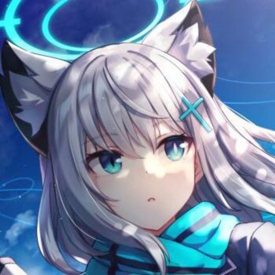 周游QvQ 