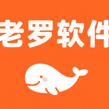 老罗软件 
