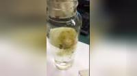 每天喝蒲公英 桑叶 青钱柳 牛蒡 磨成粉泡的水,老妈血糖血压稳定了...