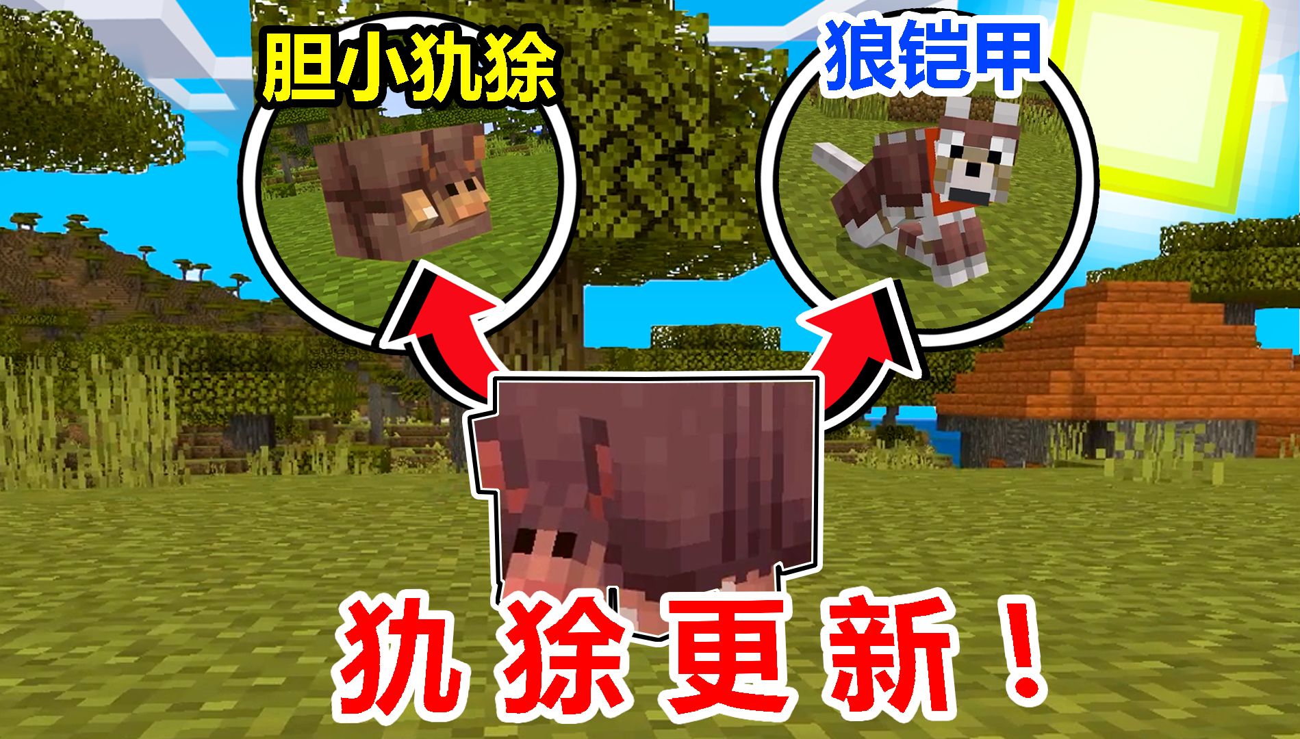 我的世界1.21犰狳更新了!狼铠是鸡肋?!_我的世界