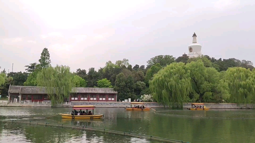 让我们荡起双桨~
