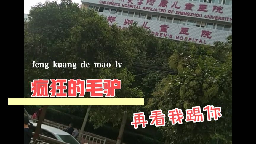 一中午商丘郑州,郑州商丘