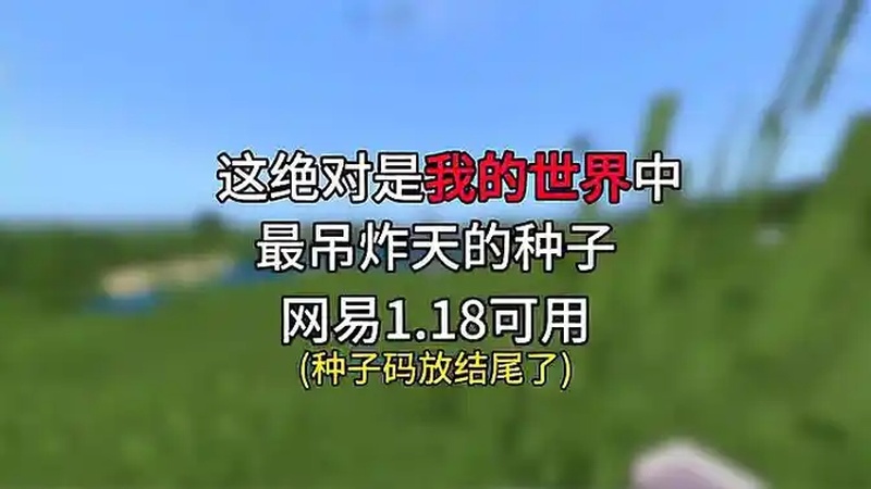 我的世界:最新神级种子,用上后贝爷生存速通,结尾有教程!
