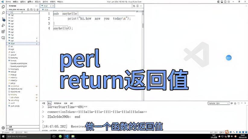 Perl编程,sub函数的return返回值的.