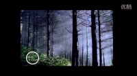 公司介绍及硒的介绍