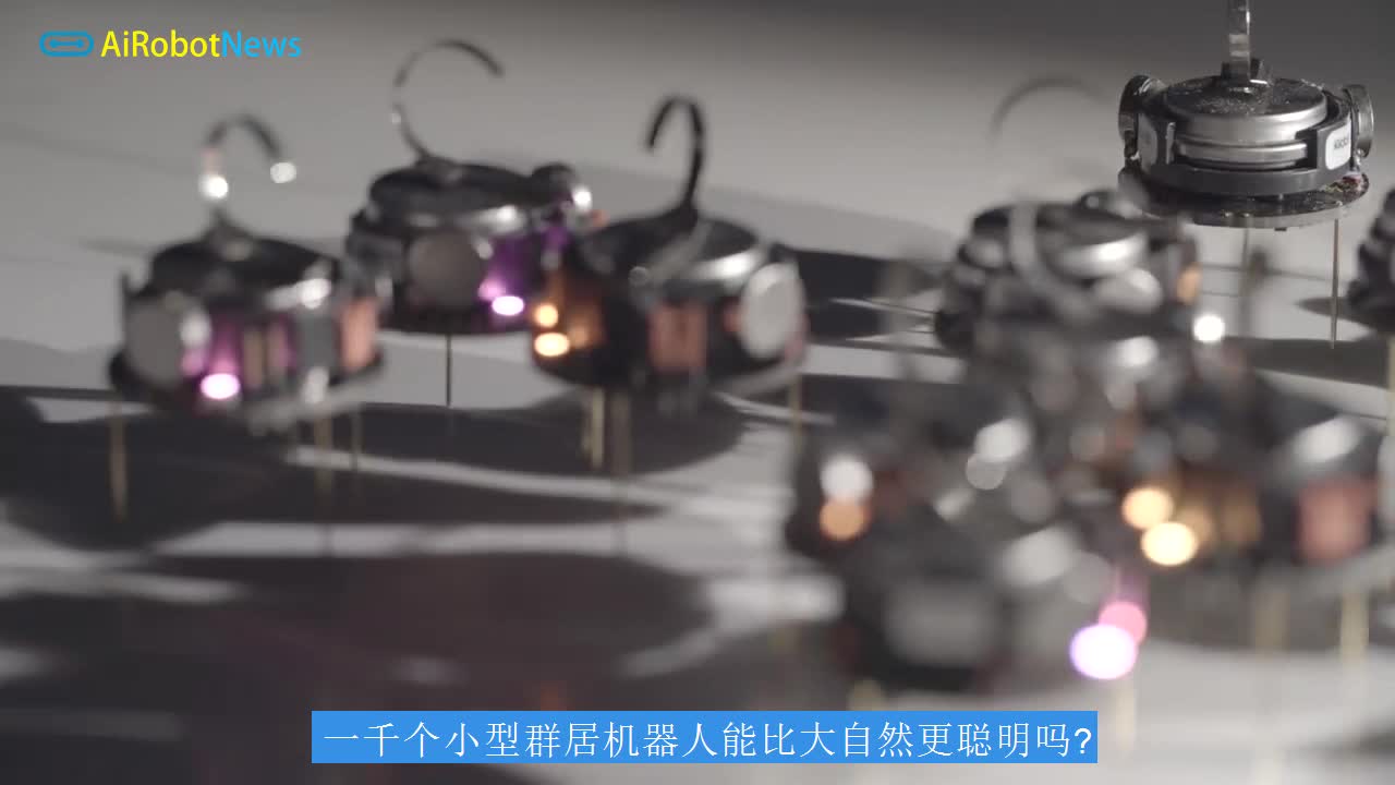 一千个小型群居机器人能比大自然更聪明吗-哈佛大学Kilobots