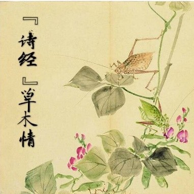 诗经百草园微课实验室 