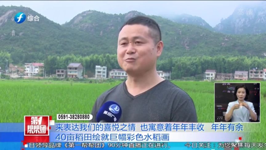 在稻田上作画,小娃举稻穗站立田中,这幅40亩彩色水稻画太惊艳