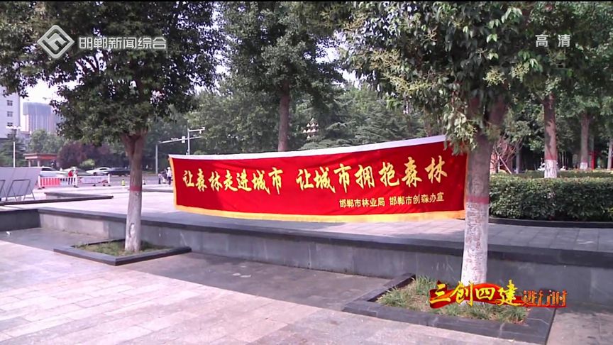 我市开展创建国家森林城市宣传活动