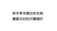 新手养羊莫怕羊生病:最基本的知识掌握好