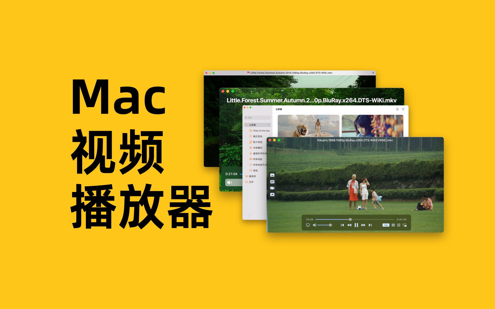 4款Mac视频播放器|软件推荐