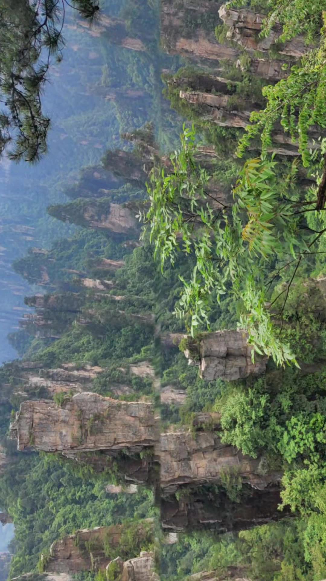 仙侠修真玄幻修仙武侠小说第24回,老铁支持一下没毛病,互粉老铁