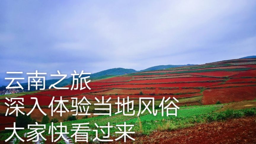 旅游游记,小金带你深入云南当地,体验最传统的云南风俗文化。