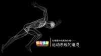 生物大百科 第三季 第37集 生物圈中的其他生物:运动系统的组成