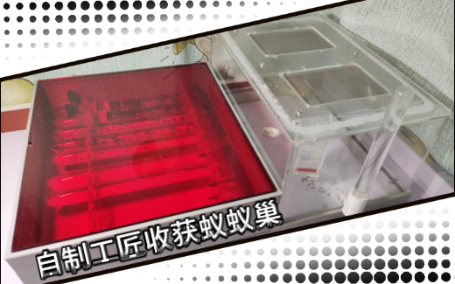 分享一个自制的工匠收获蚁蚁巢