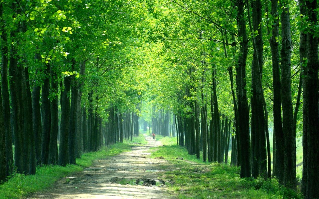 VJ素材(风景实拍类视频素材)