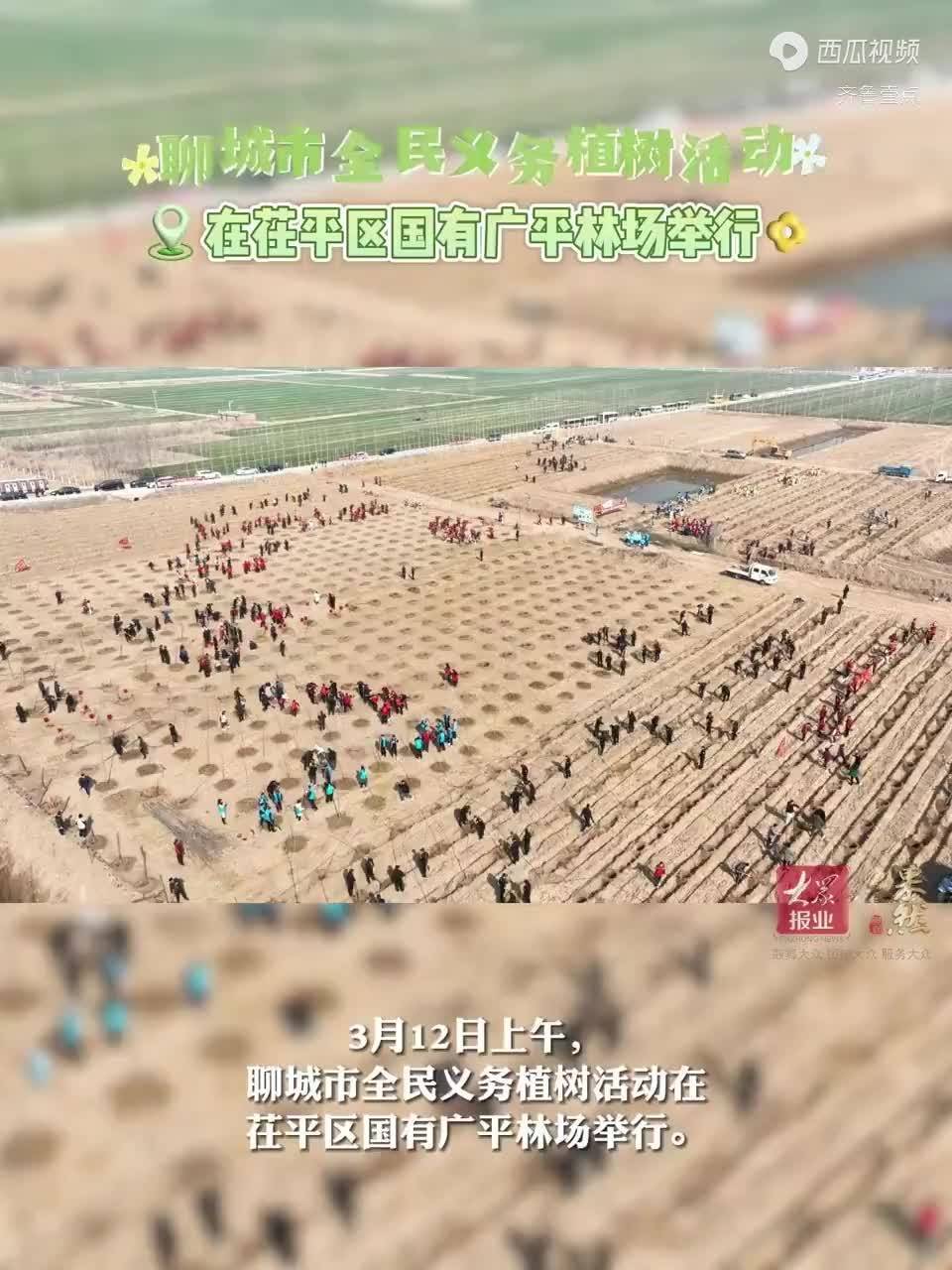 果然视频|春意盎然!植树节聊城在行动