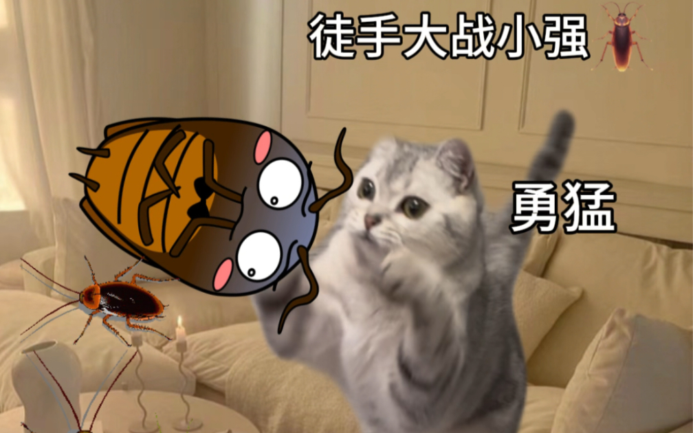 单身时的女生VS恋爱后的女生的区别