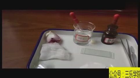 七年级生物《制作洋葱鳞片叶内表皮细胞临时装片》