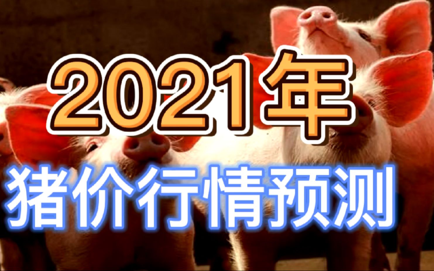 2021年中国猪价行情预测:猪肉还能回到15元一斤水平吗?
