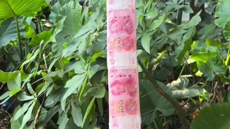 Redshell学习中国生活小妙招 Redshell