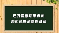 税控盘已开发票明细与汇总查询操作讲解 企业税贷发票贷教学